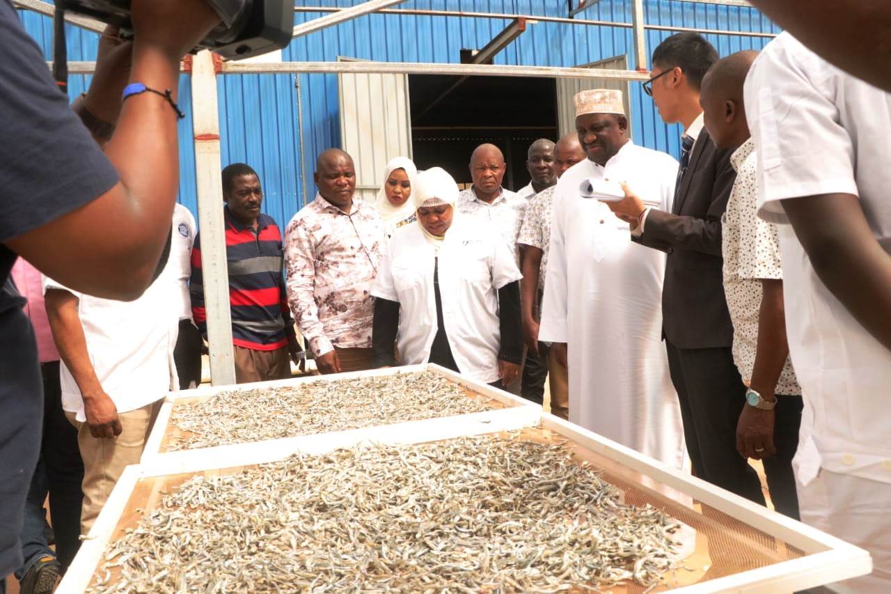 Chinese processing company helps Kwale export fish species to China - KBC